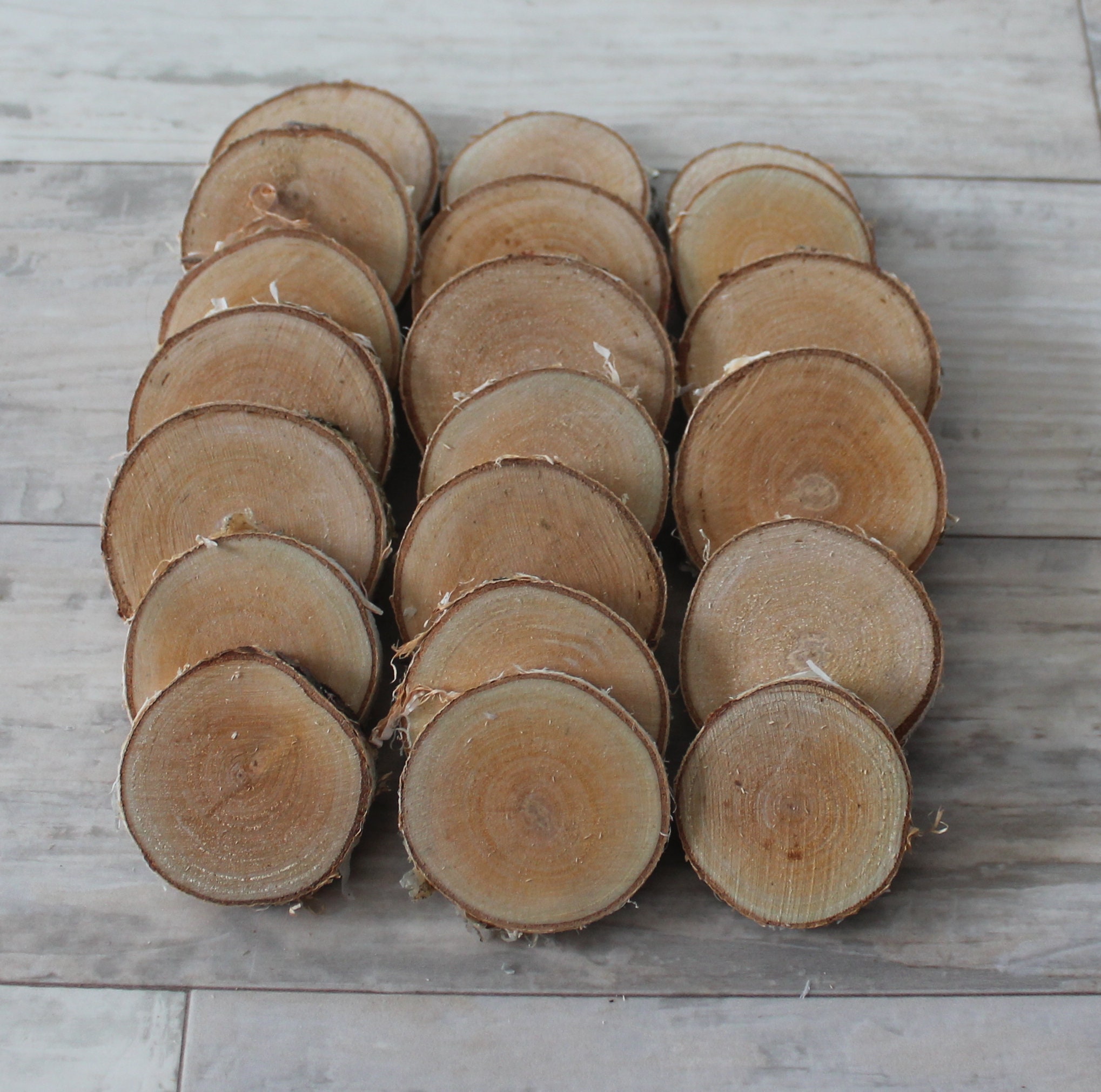 Birch Slices Small Wood Rounds Craft Wood Pieces Tree Rounds for DIY ...