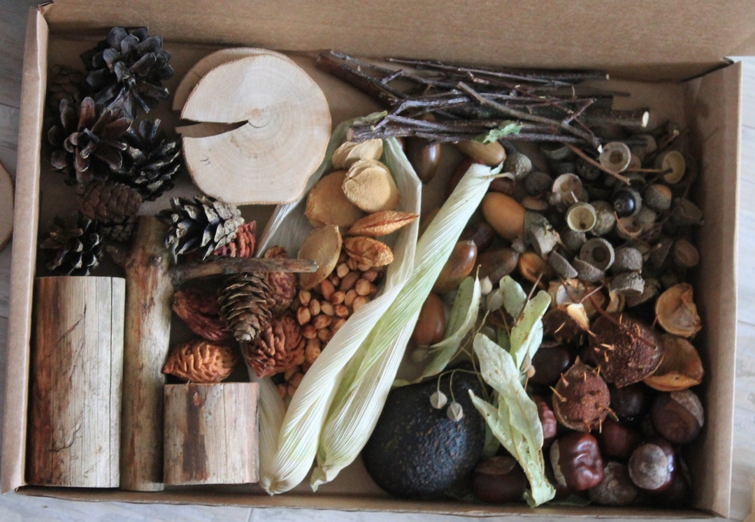 Craft Mystery Box 34x22x5cm Do It Yourself Forest Finds Florist ...