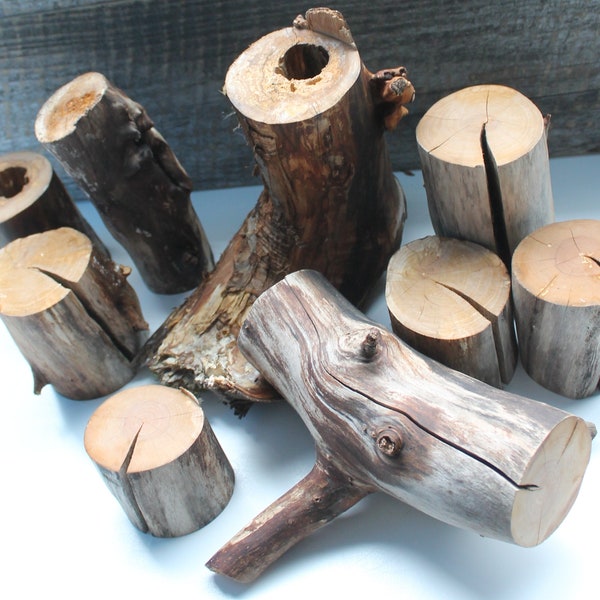 Wood Stump - Etsy
