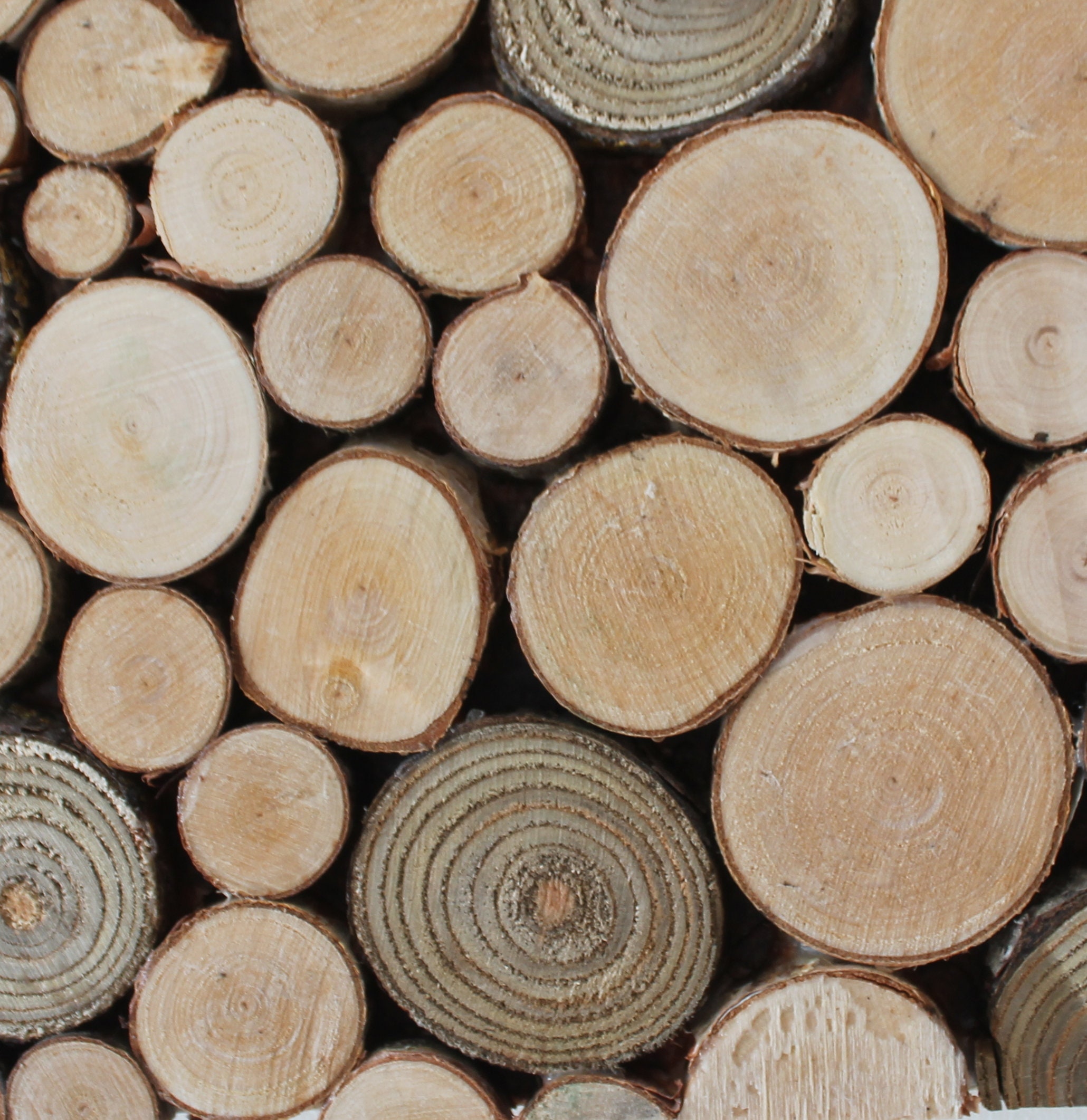 Wood Slices Wall Decor Wooden Wall Panels Rustic Home Decor - Etsy