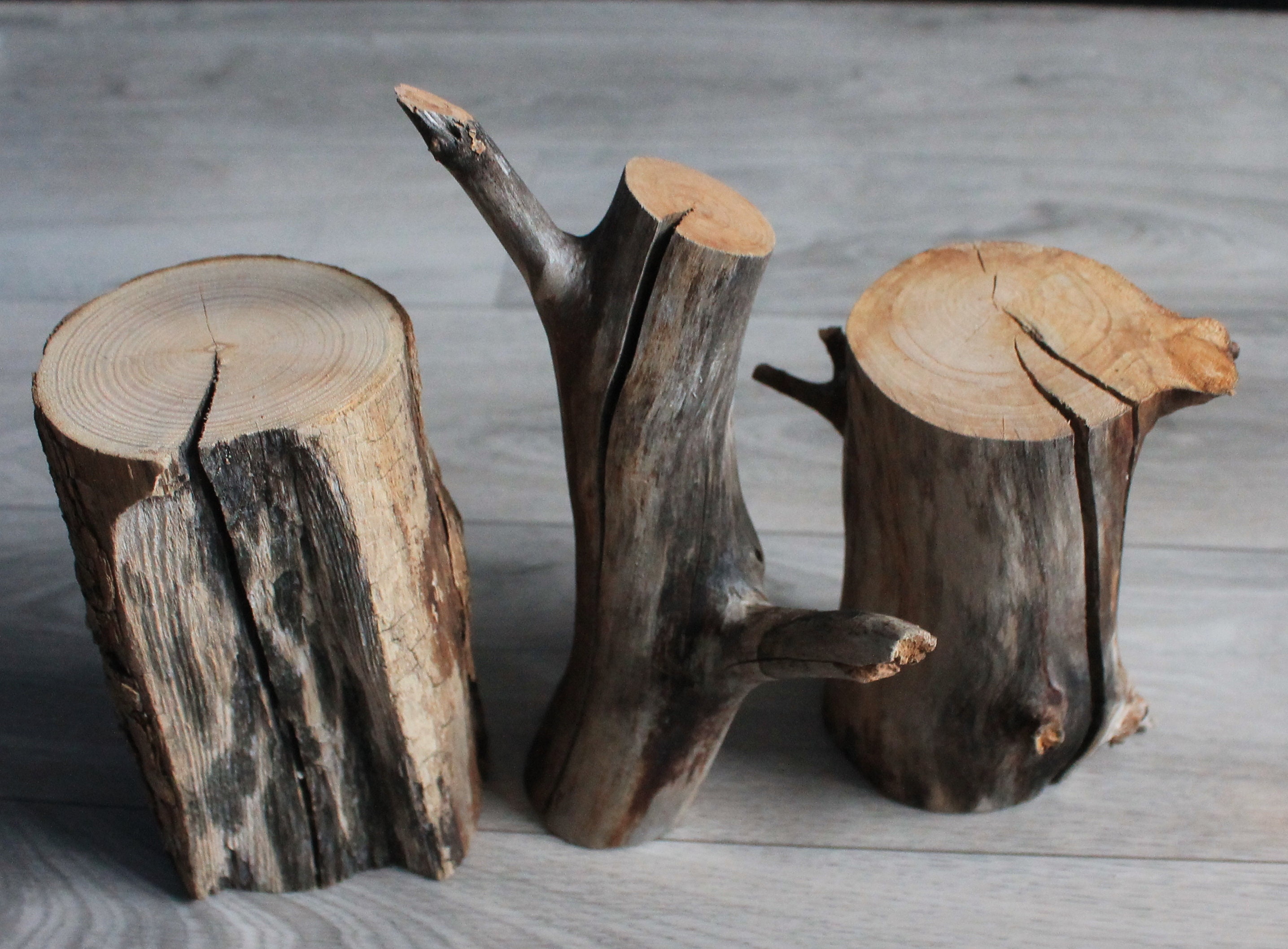 Wood Log Natural Craft Supplies Wood Branches Diy Kits for Adults - Etsy