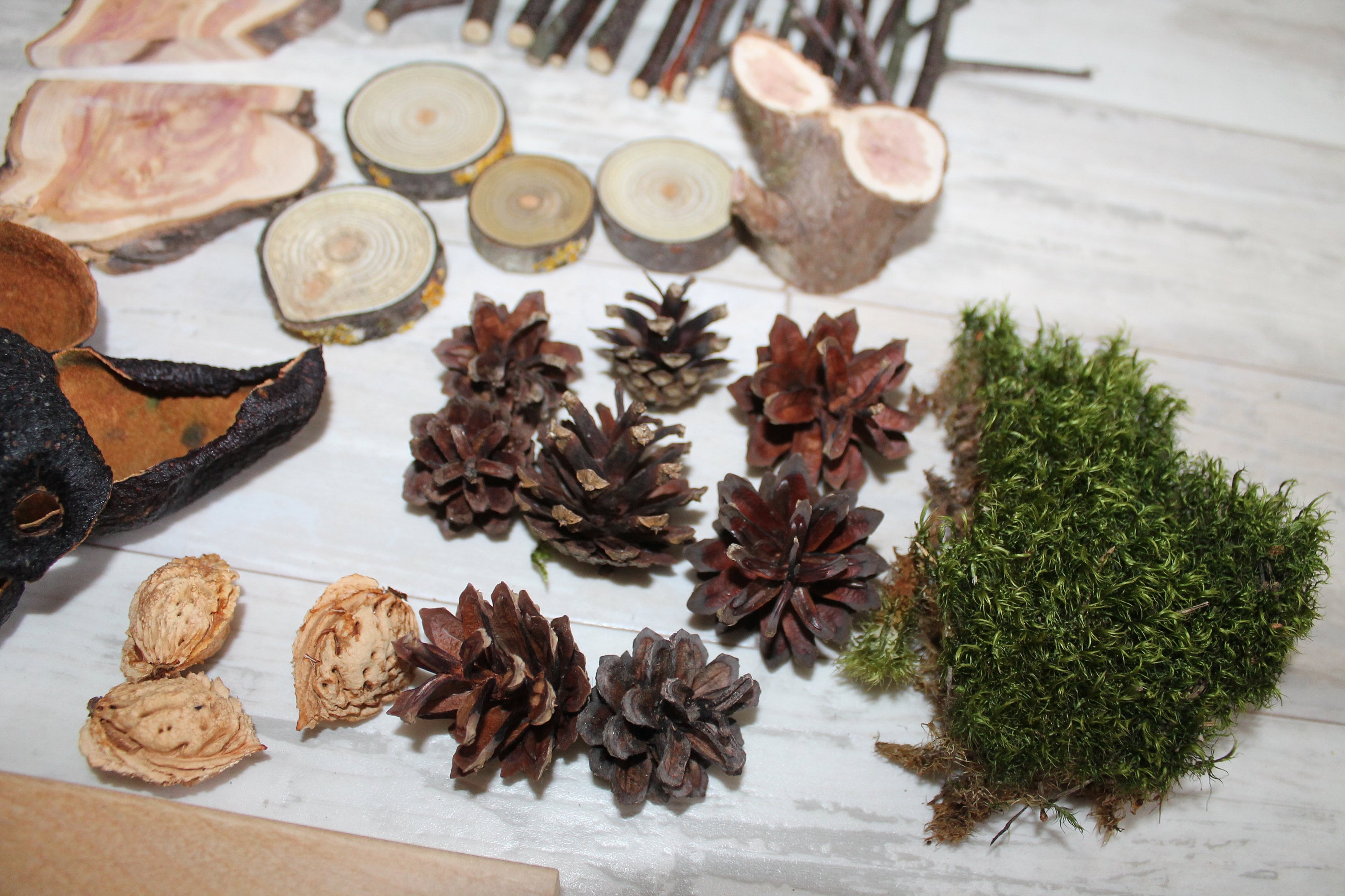 Fairy Garden Kit Natural Craft Supplies Woodland Craft Kit for Adults ...