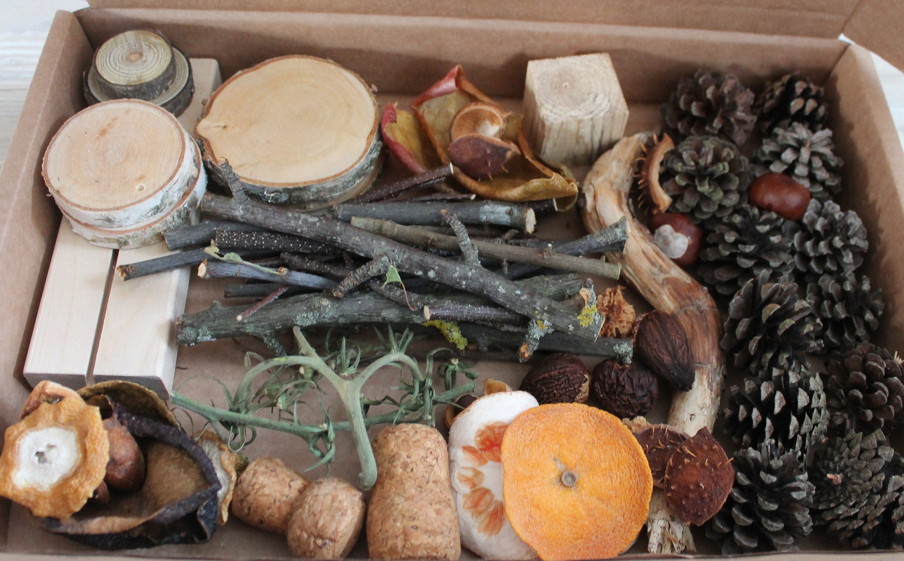 Natural Craft Supplies: Woodland Forest Finds Kit - Etsy