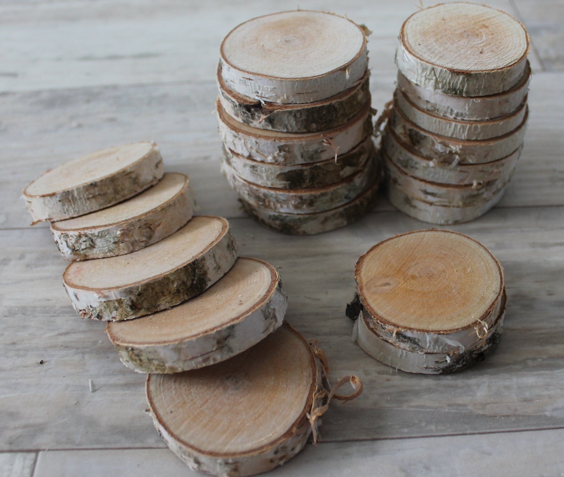 Birch Slices Small Wood Rounds Craft Wood Pieces Tree Rounds for DIY ...