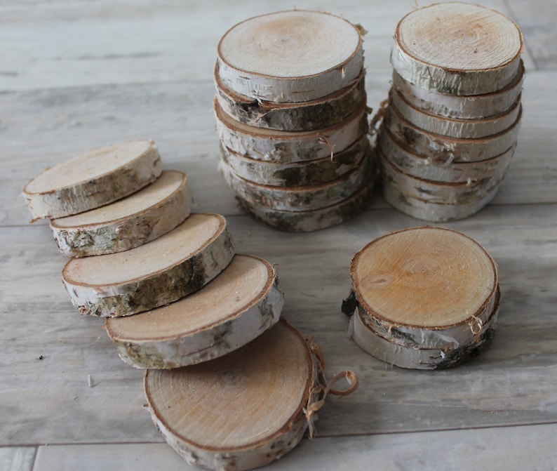 Birch Slices Small Wood Rounds Craft Wood Pieces Tree Rounds for DIY ...