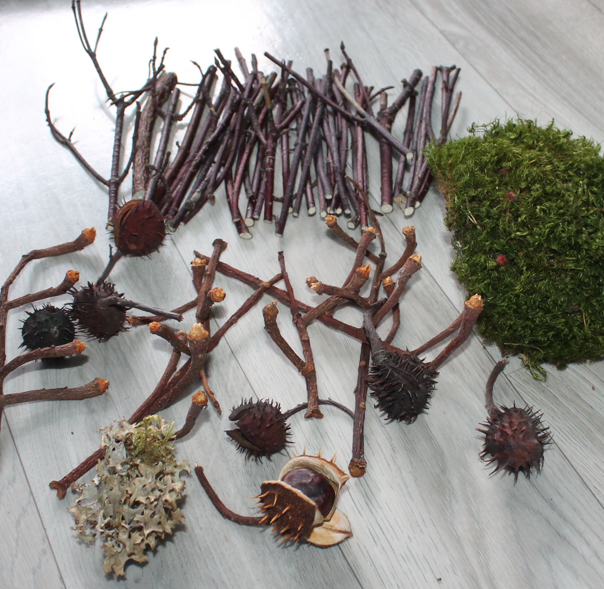 Natural Craft Supplies Forest Finds Woodland Craft Kit for Adults READY ...
