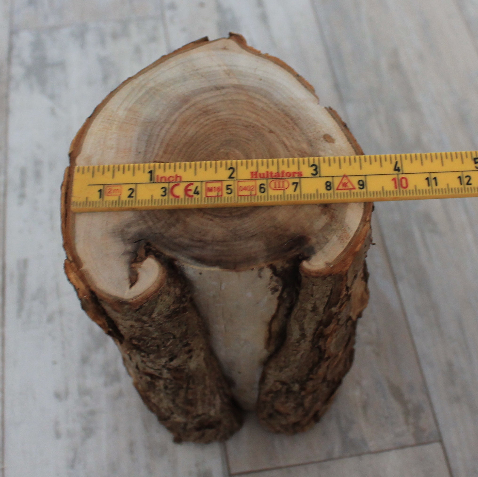 Natural Willow Wood Stump: Rustic Home Decor, DIY Crafts (1pcs) - Etsy