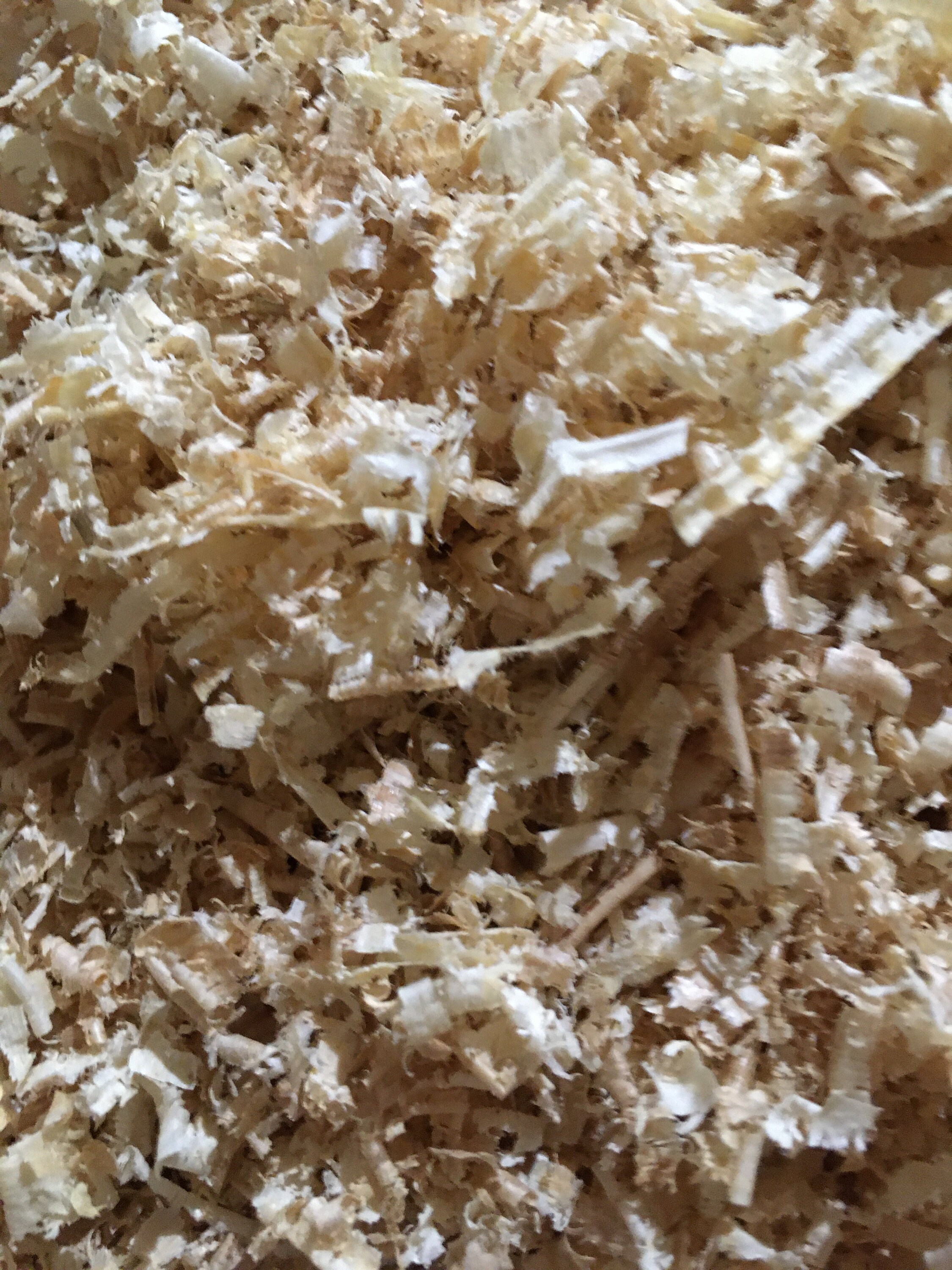 Natural Wood Sawdust Wood Dust Eco Friendly Fire Starters Organic Wood ...