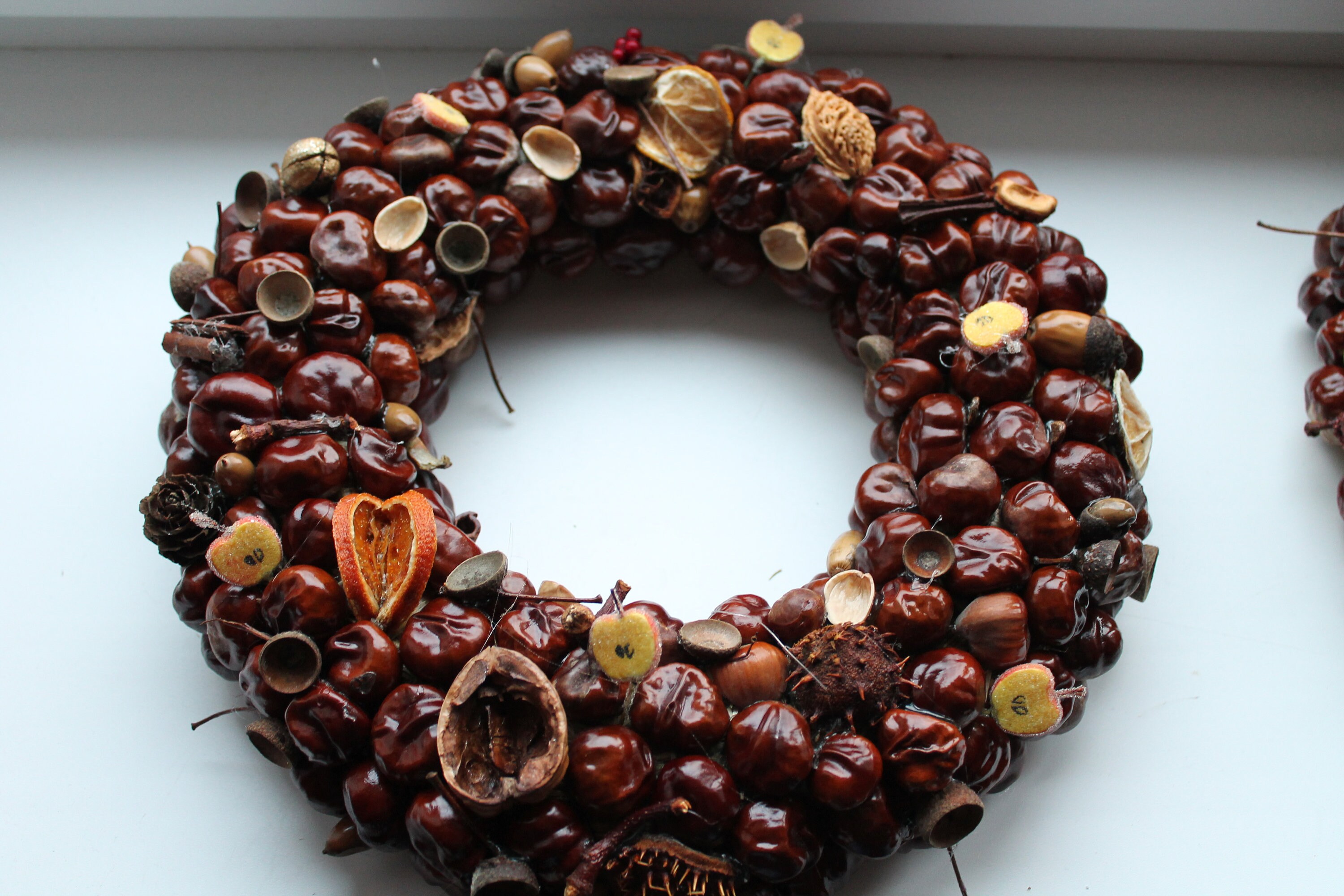 Horse Chestnut Rustic Home Decor Real Dried Chestnuts Florist Supplies ...