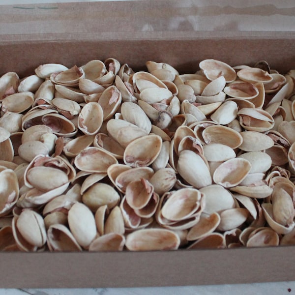 Pistachio Shells - Etsy