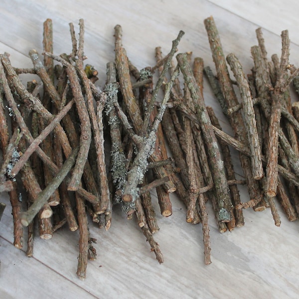 Brown Tree Branches - Etsy