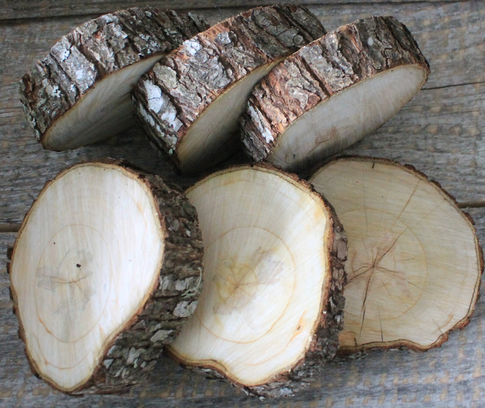Wood Slab Wood Rounds Natural Wood Slices for Craft Do It Yourself ...