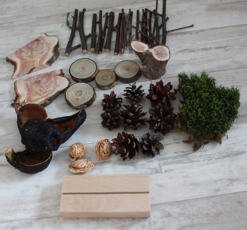 Fairy Garden Kit Natural Craft Supplies Woodland Craft Kit for Adults ...