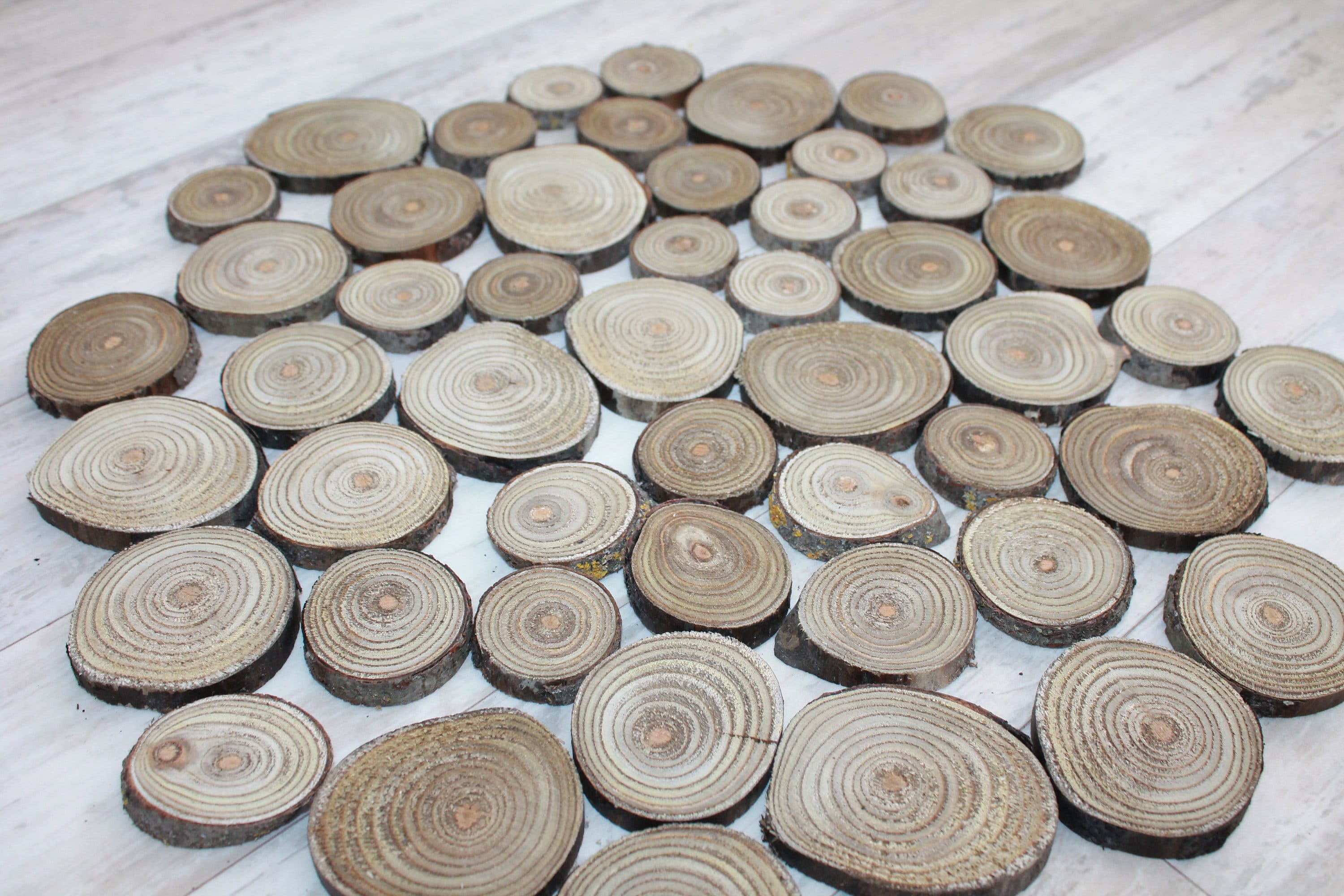 Wood Rounds Wood Slices Sumac Log Slice Wood Pieces Wood Slab Wood ...