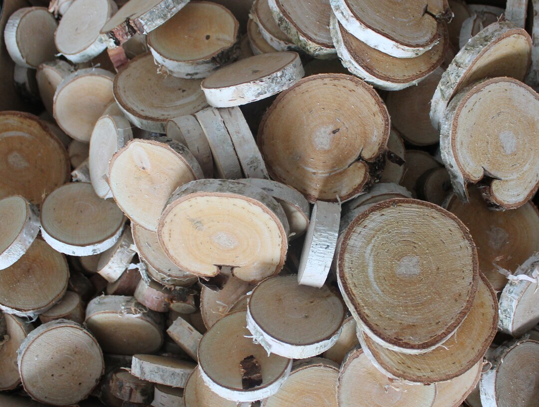 Birch Slices Small Wood Rounds Craft Wood Pieces Tree Rounds for DIY ...