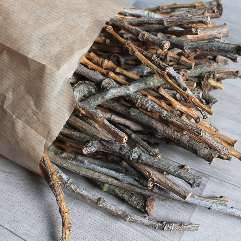 Willow Branches - Etsy