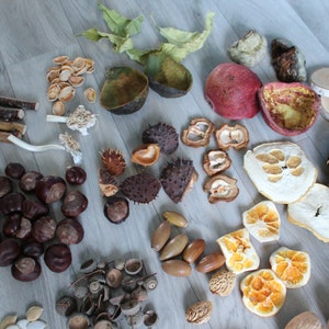 Natural Sensory Bin: Forest Finds, Kids Nature Study, Rustic Decor ...
