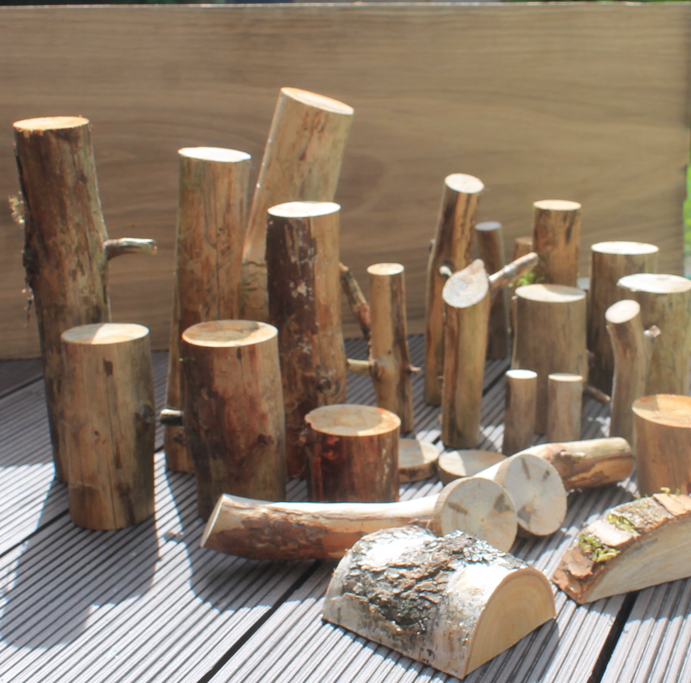 Wood Log Natural Craft Supplies Wood Branches Diy Kits for Adults - Etsy