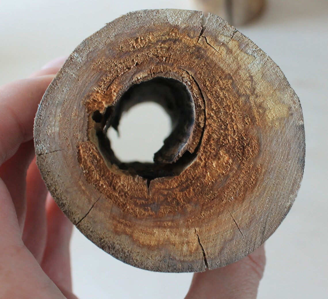 Wood Log Willow Branches Natural Craft Supplies Wood Stump Diy Kits for ...