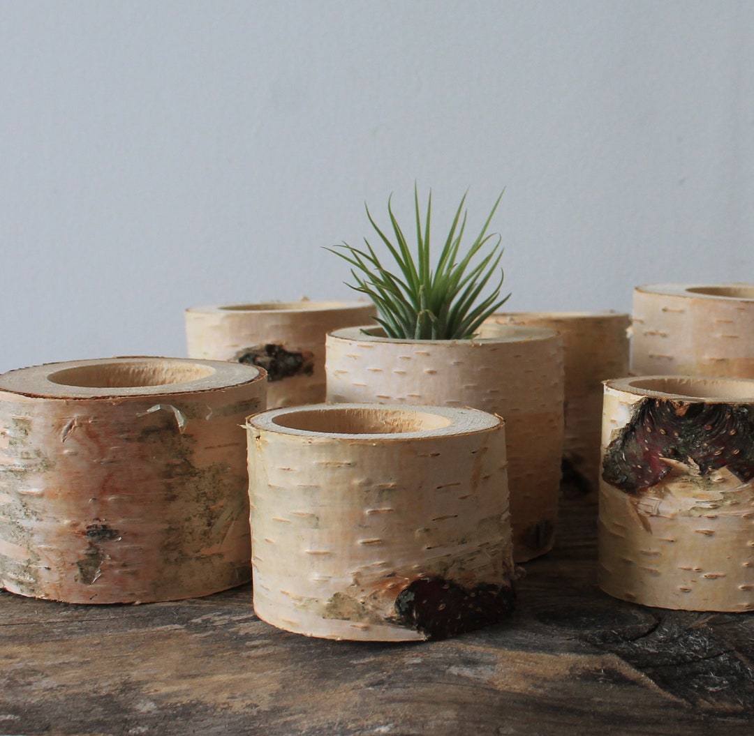 Wood Pots Air Plant Holder Mini Flower Pot Rustic Table Decor Random 1 ...