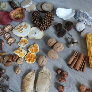 Natural Sensory Bin: Forest Finds, Kids Nature Study, Rustic Decor ...
