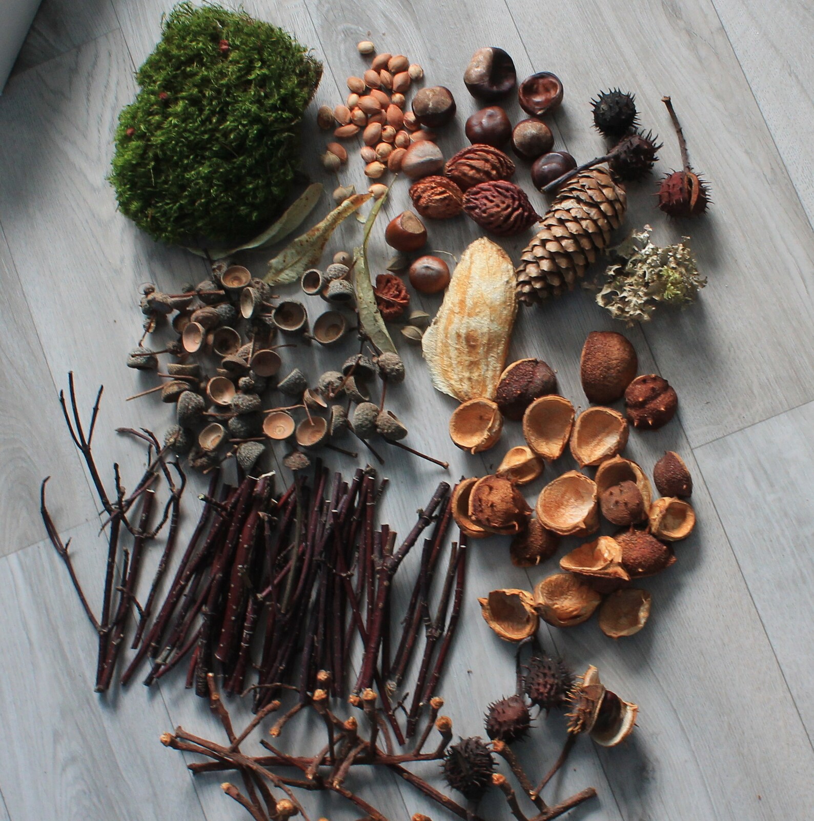 Natural Craft Supplies Forest Finds Woodland Craft Kit for Adults READY ...