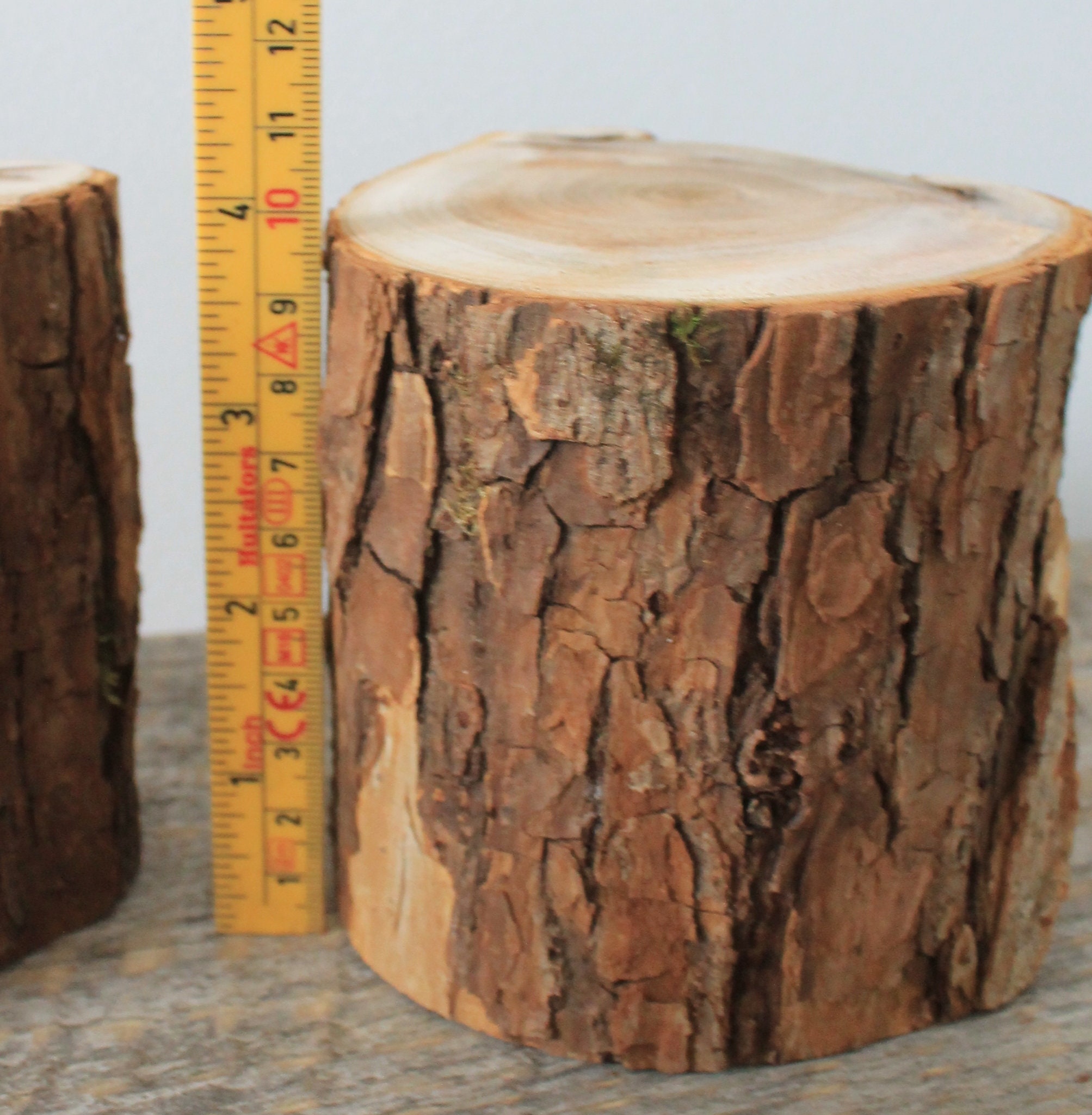 Natural Willow Wood Stump: Rustic Home Decor, DIY Crafts (1pcs) - Etsy