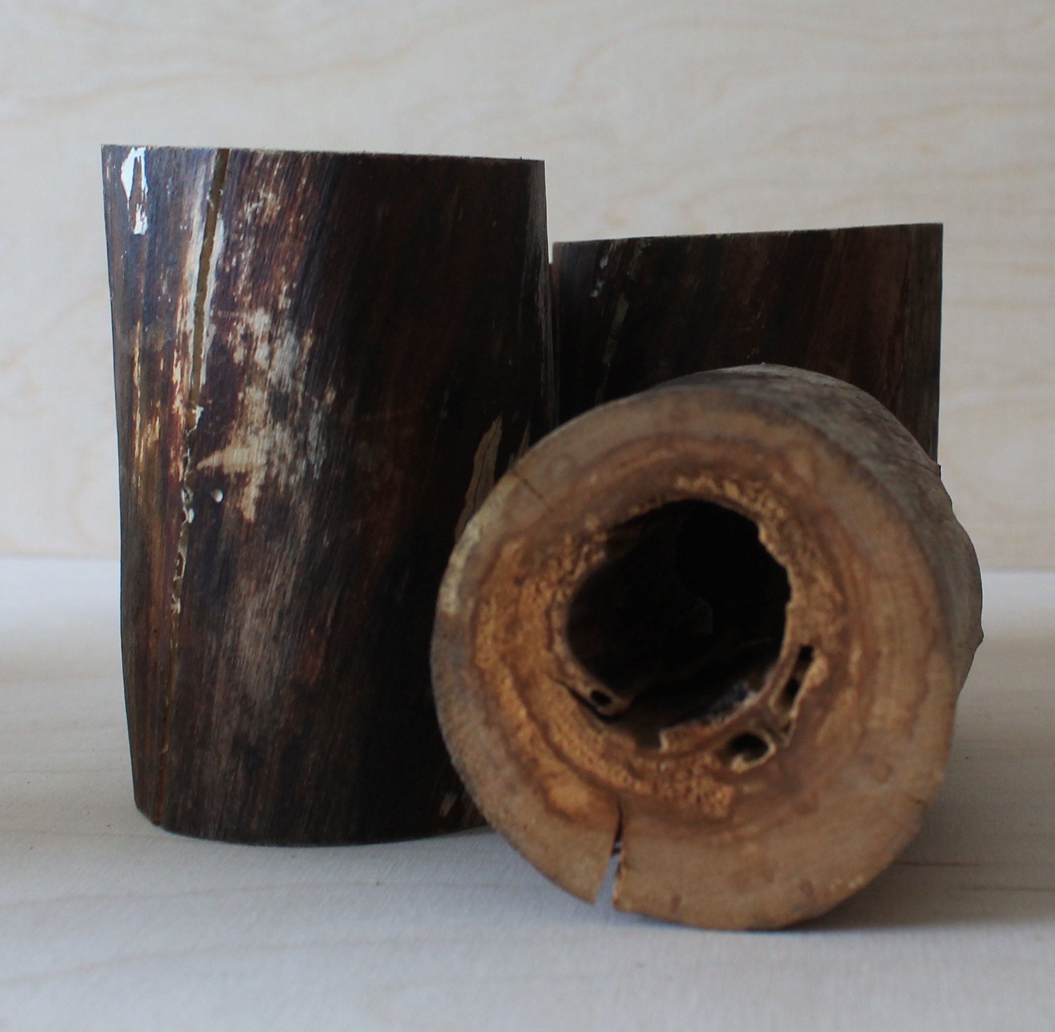Wood Log Willow Branches Natural Craft Supplies Wood Stump Diy Kits for ...