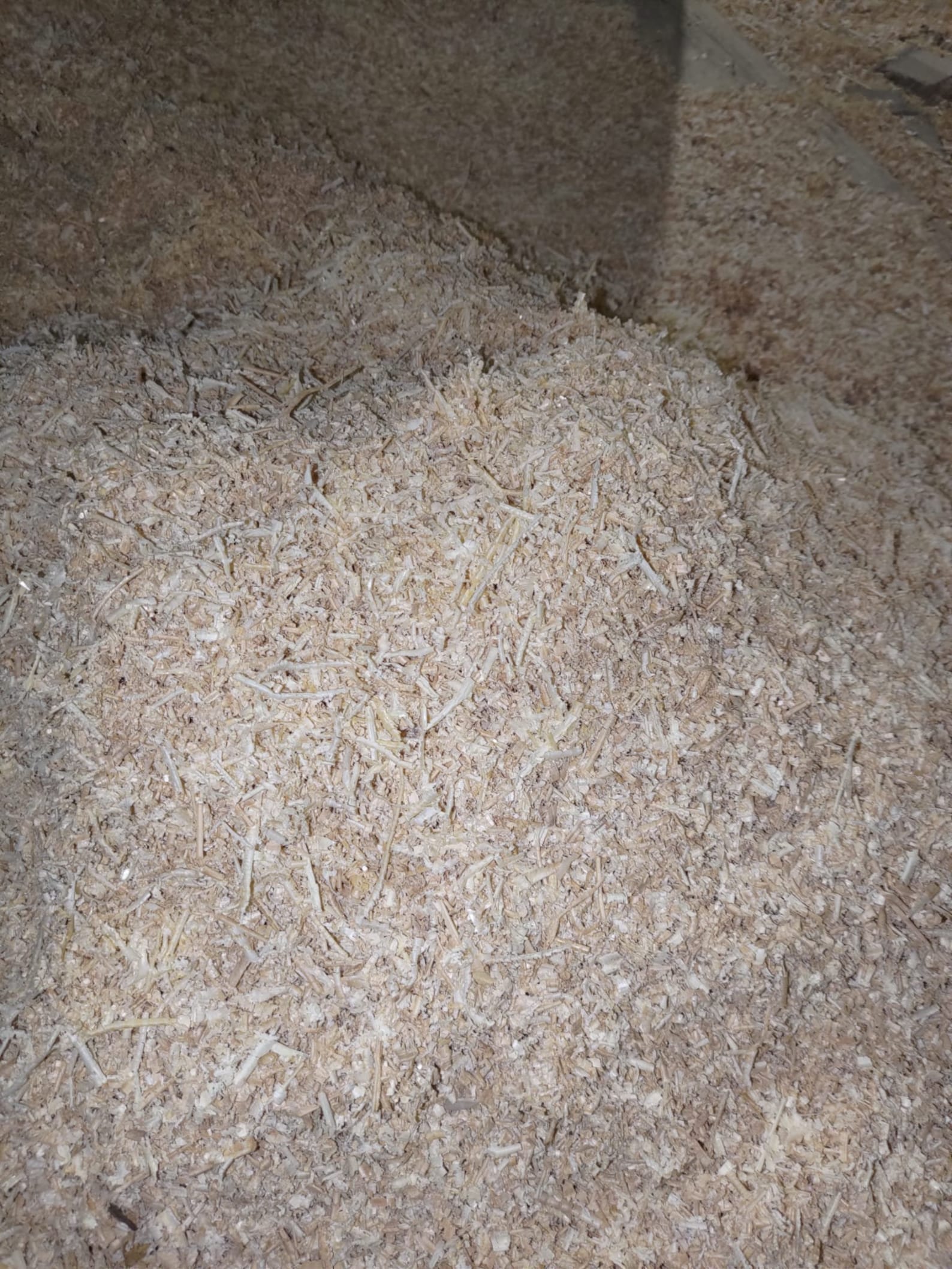 Natural Wood Sawdust Wood Dust Eco Friendly Fire Starters Organic Wood ...