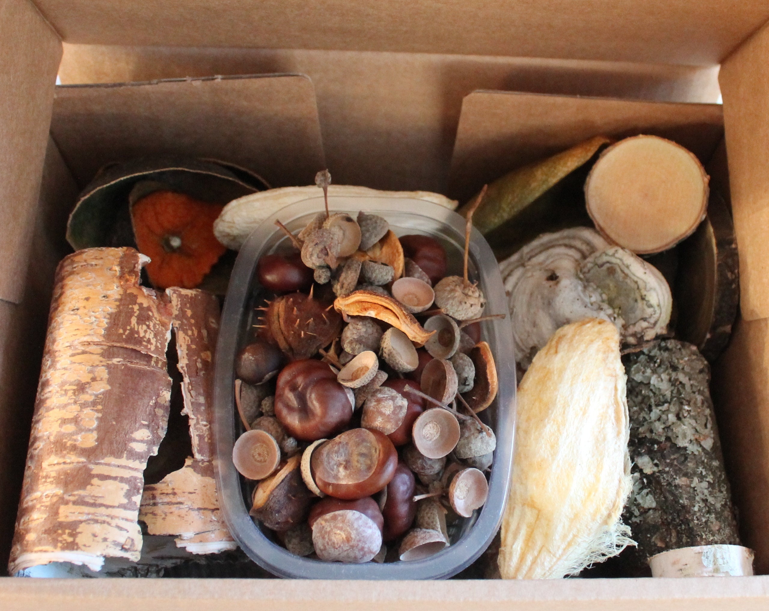 Fairy Garden Kit Natural Craft Supplies Woodland Craft Kit for Adults ...
