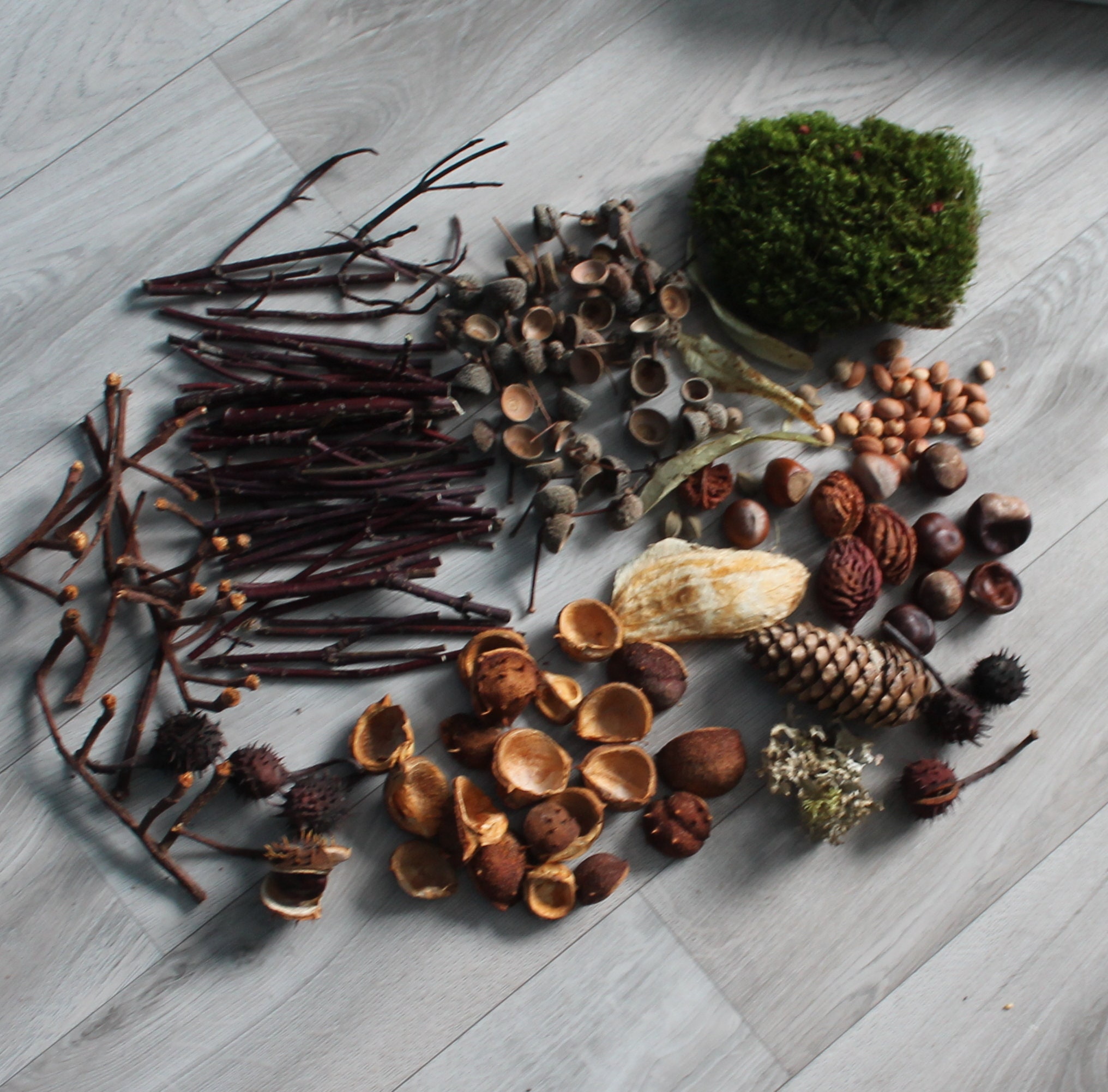 Natural Craft Supplies Forest Finds Woodland Craft Kit for Adults READY ...