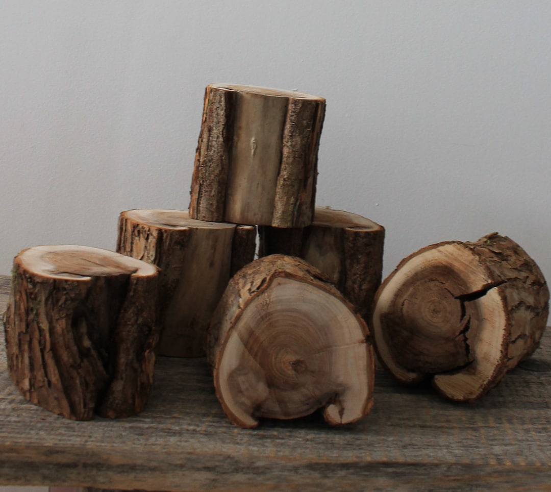 Natural Willow Wood Stump: Rustic Home Decor, DIY Crafts (1pcs) - Etsy