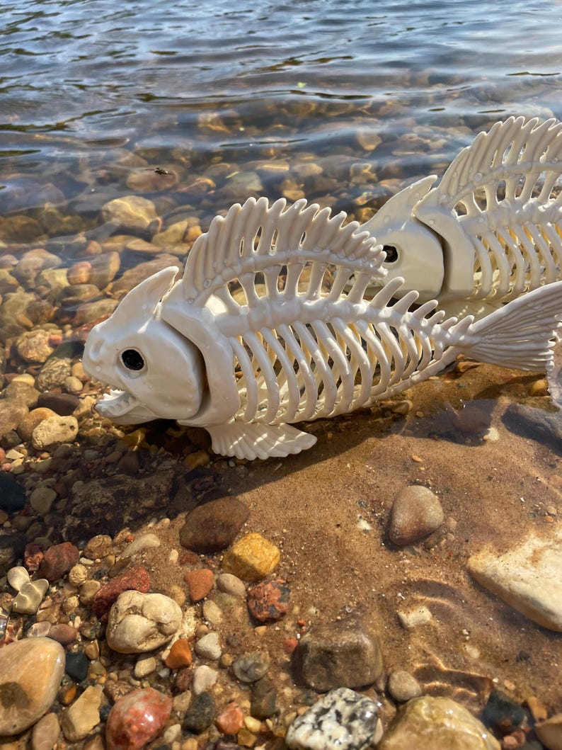 Animal Skeleton Decor Skeleton Prop Faux Animal Skeleton Halloween ...