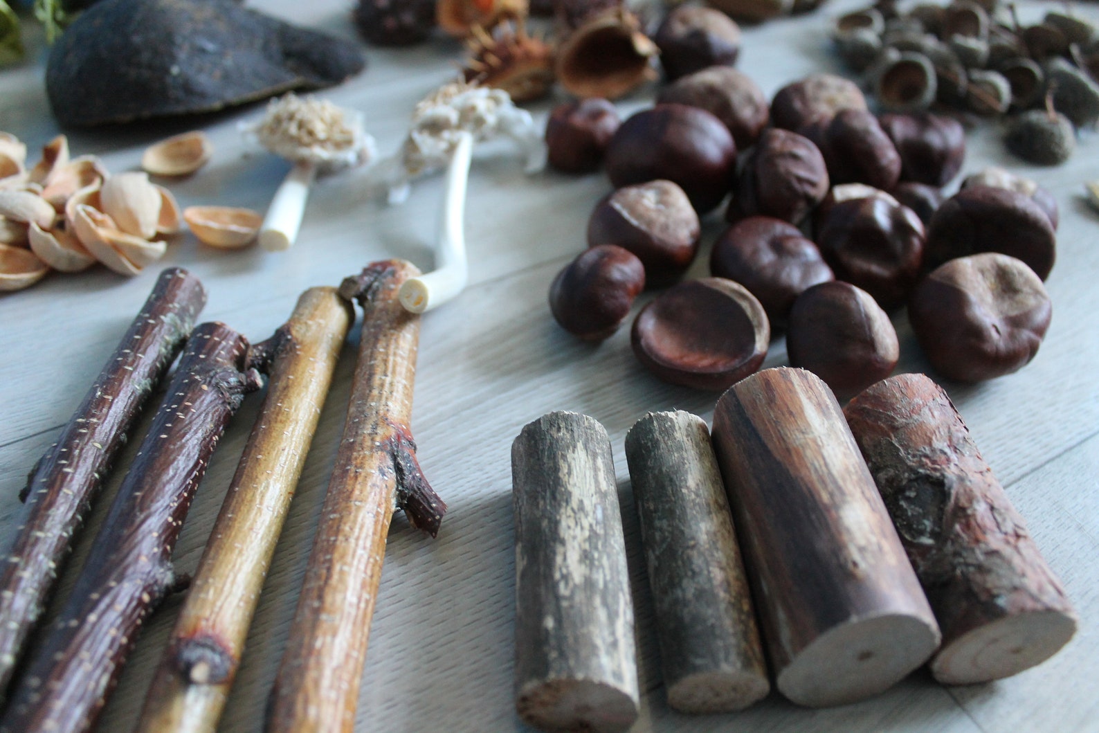 Natural Sensory Bin: Forest Finds, Kids Nature Study, Rustic Decor ...