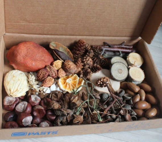 Forest Finds Woodland Craft Kit for Adults Natural Craft Supplies READY TO SHIP Etsy