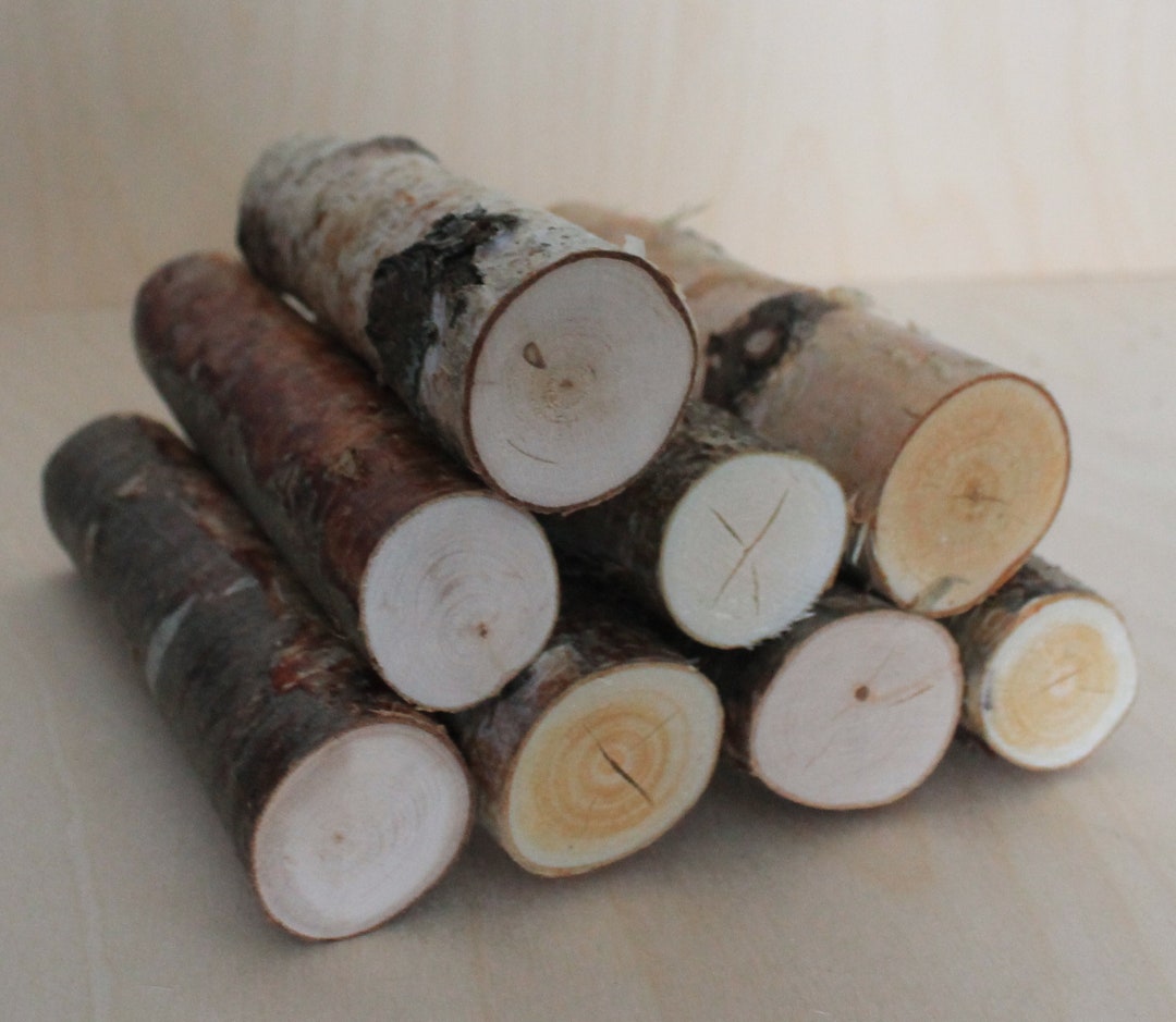 Wood Log Set Wooden Stump Natural Craft Supplies DIY Rustic Home Decor ...