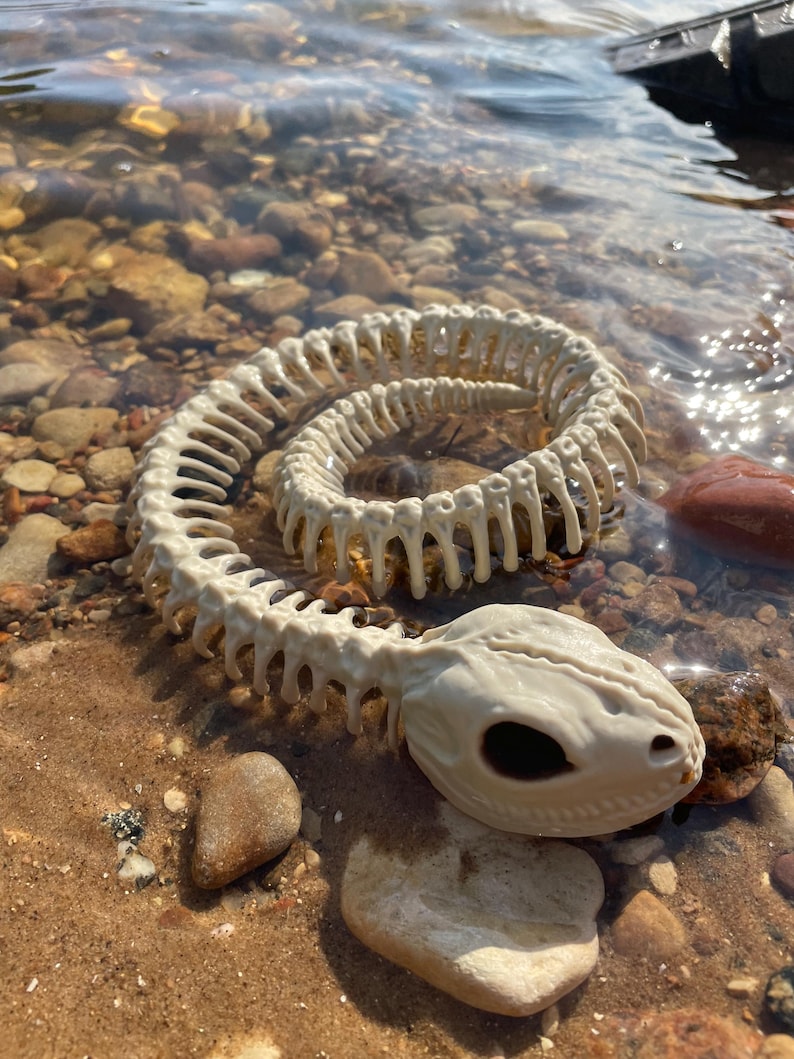 Animal Skeleton Decor Skeleton Prop Faux Animal Skeleton Halloween ...