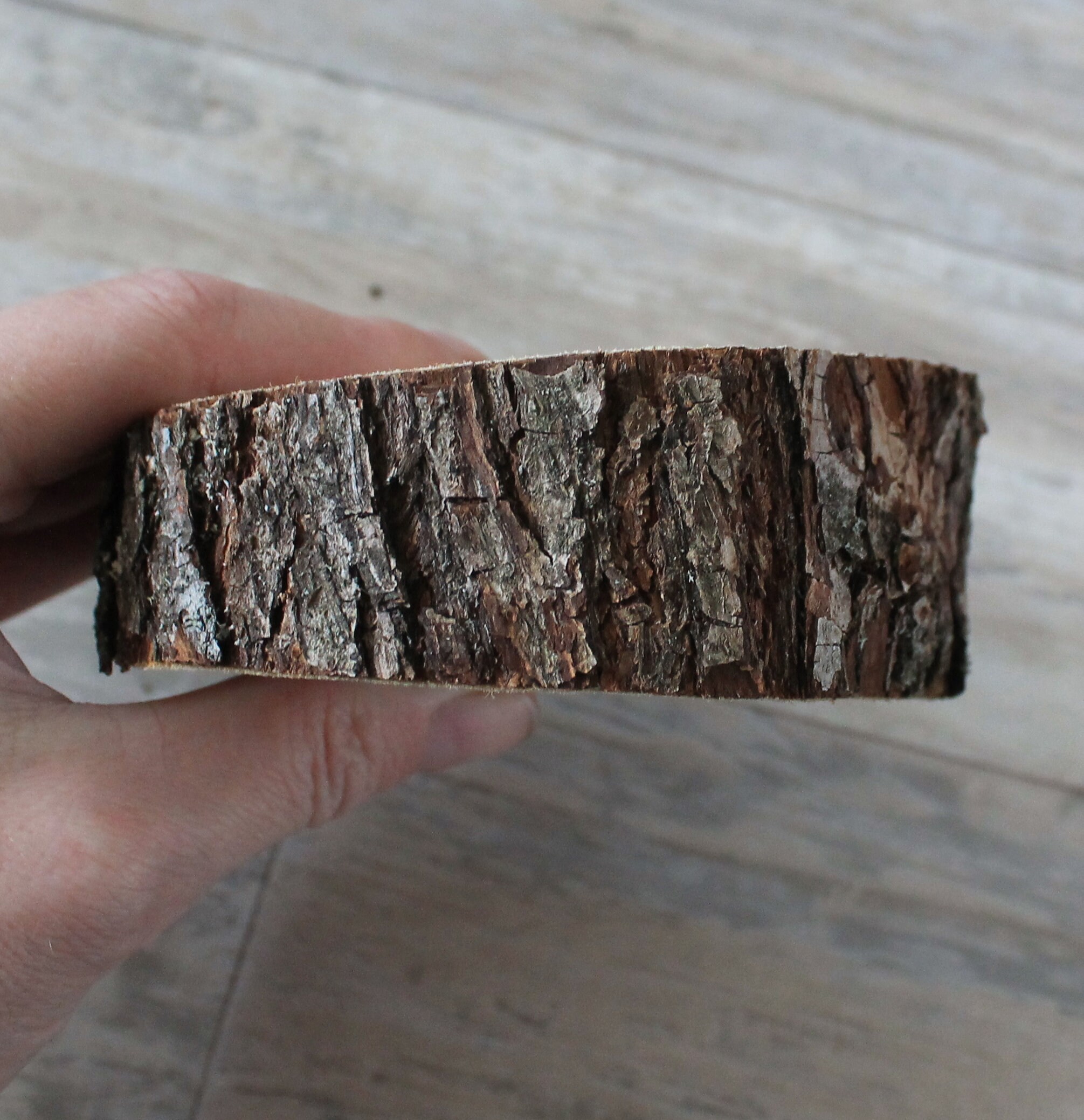 Wood Slab Wood Rounds Natural Wood Slices for Craft Do It Yourself ...