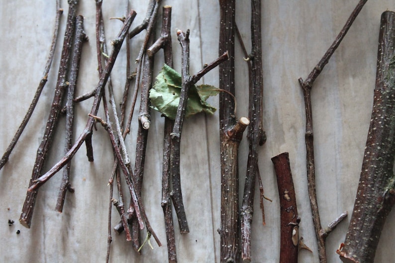 Forest Finds Craft Box: Natural DIY Kit for Adults - Etsy