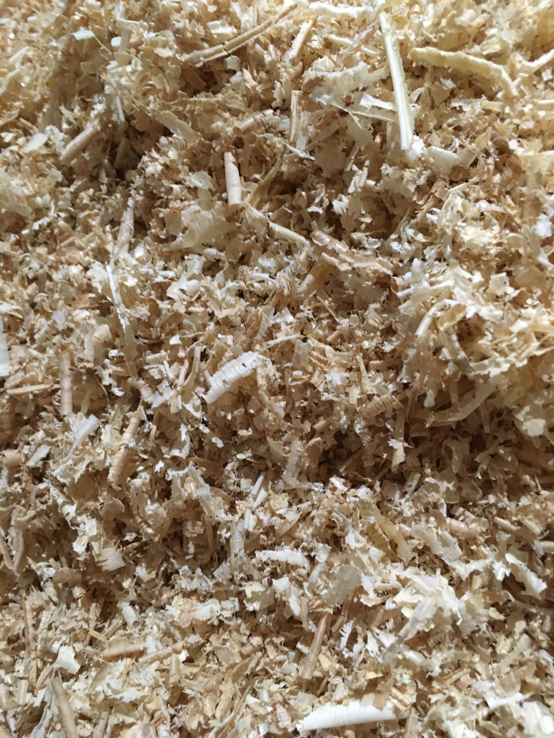 Natural Wood Sawdust Wood Dust Eco Friendly Fire Starters Organic Wood ...