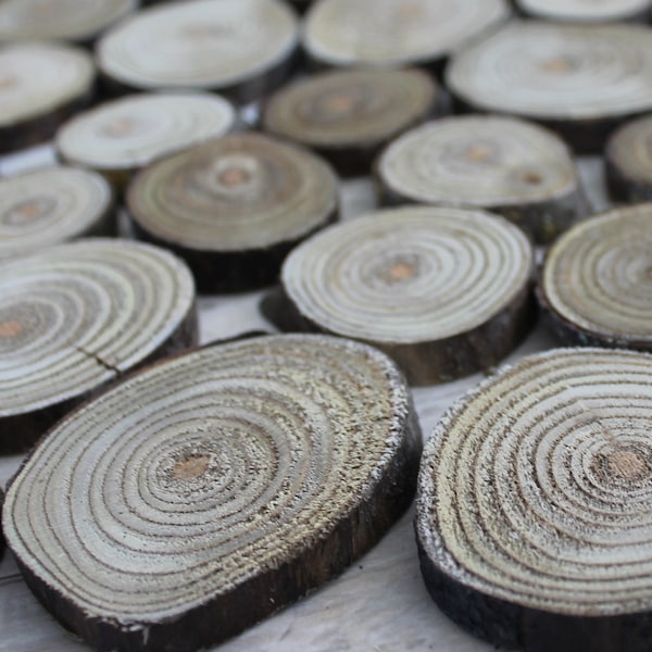 Wood Rounds - Etsy
