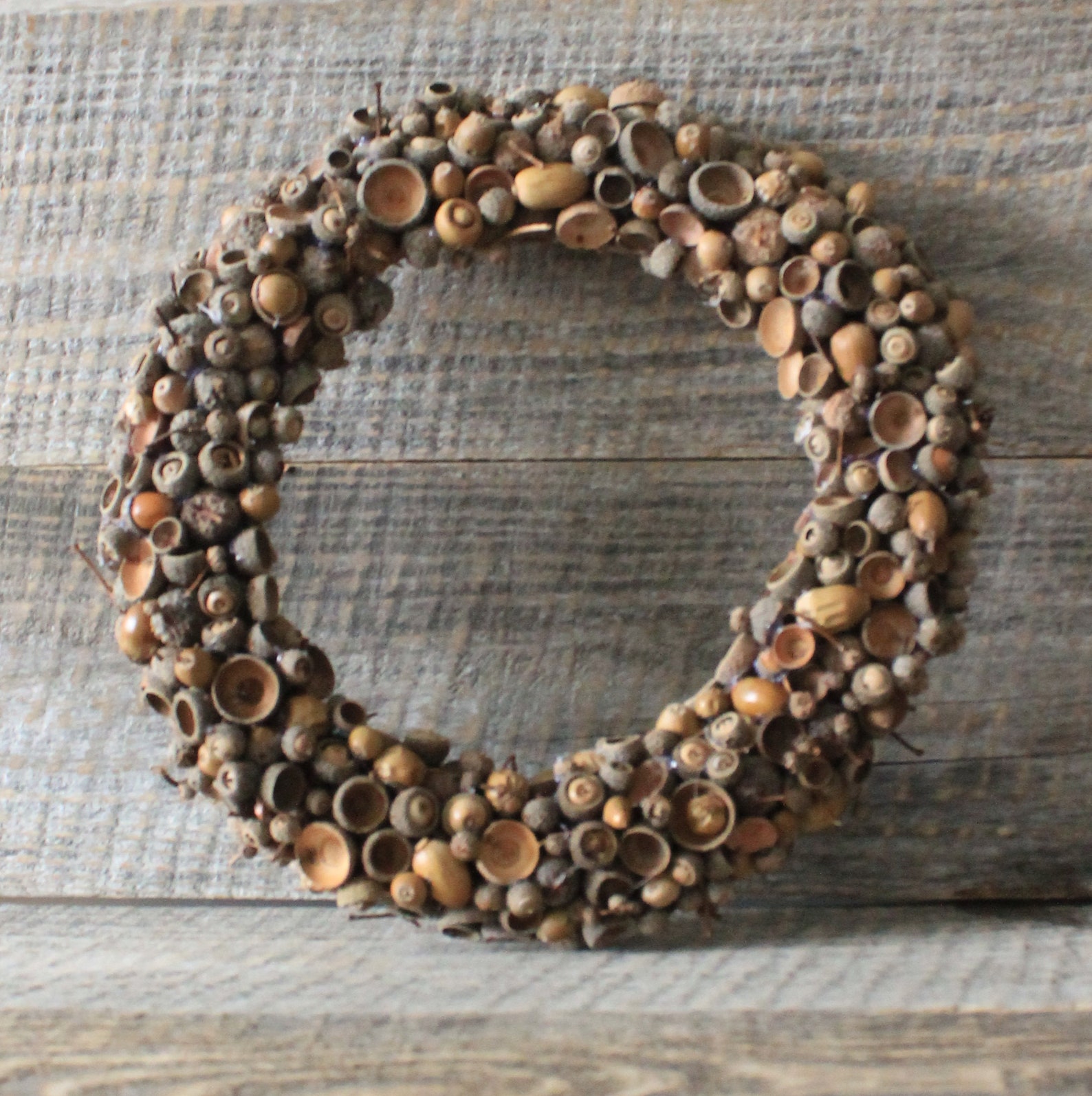 Oak Acorns Acorn Caps Natural Craft Supplies Acorns for Crafting ...