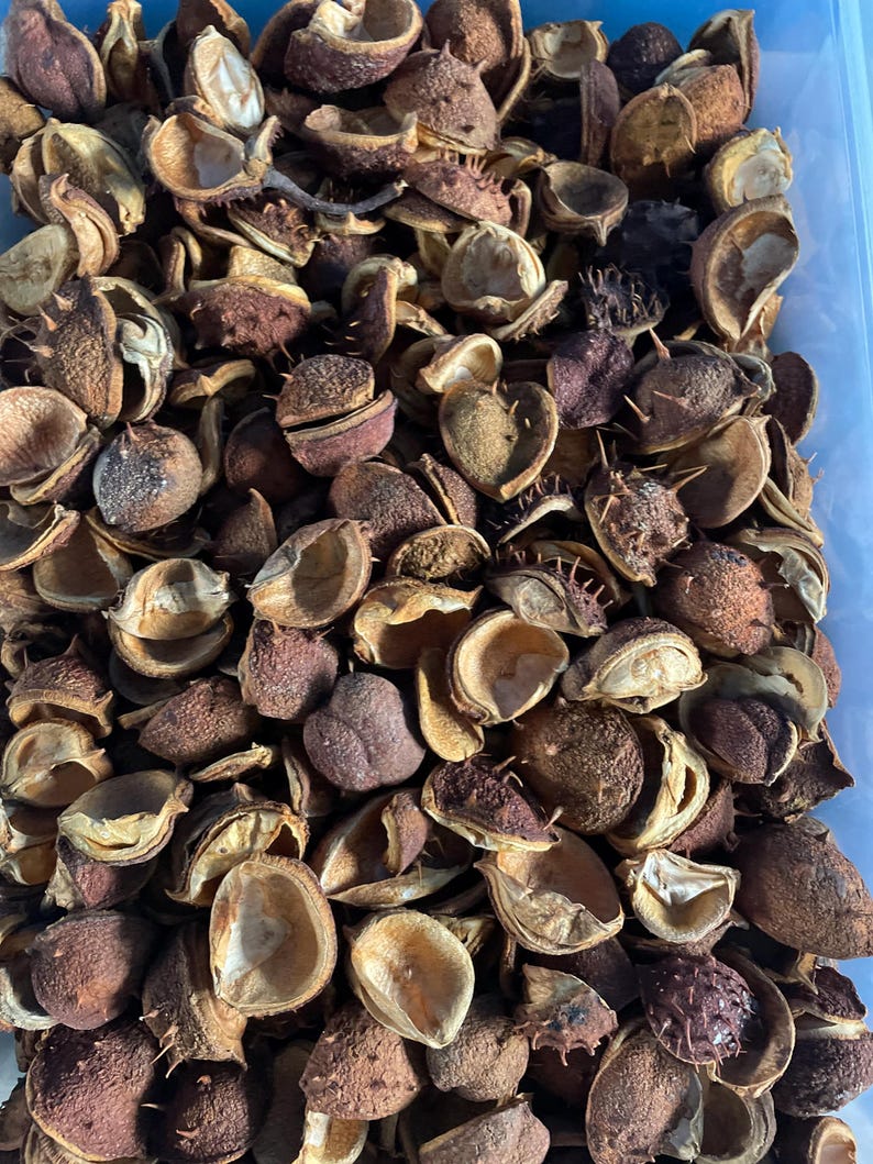 Forest Finds Do It Yourself Rustic Home Decor Natural Sensory Bin Kit ...