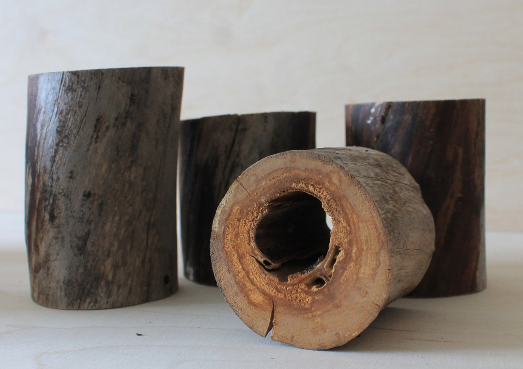 Willow Wood Stump Set: Natural Hollow Log, Rustic DIY Decor (3 Pcs) - Etsy