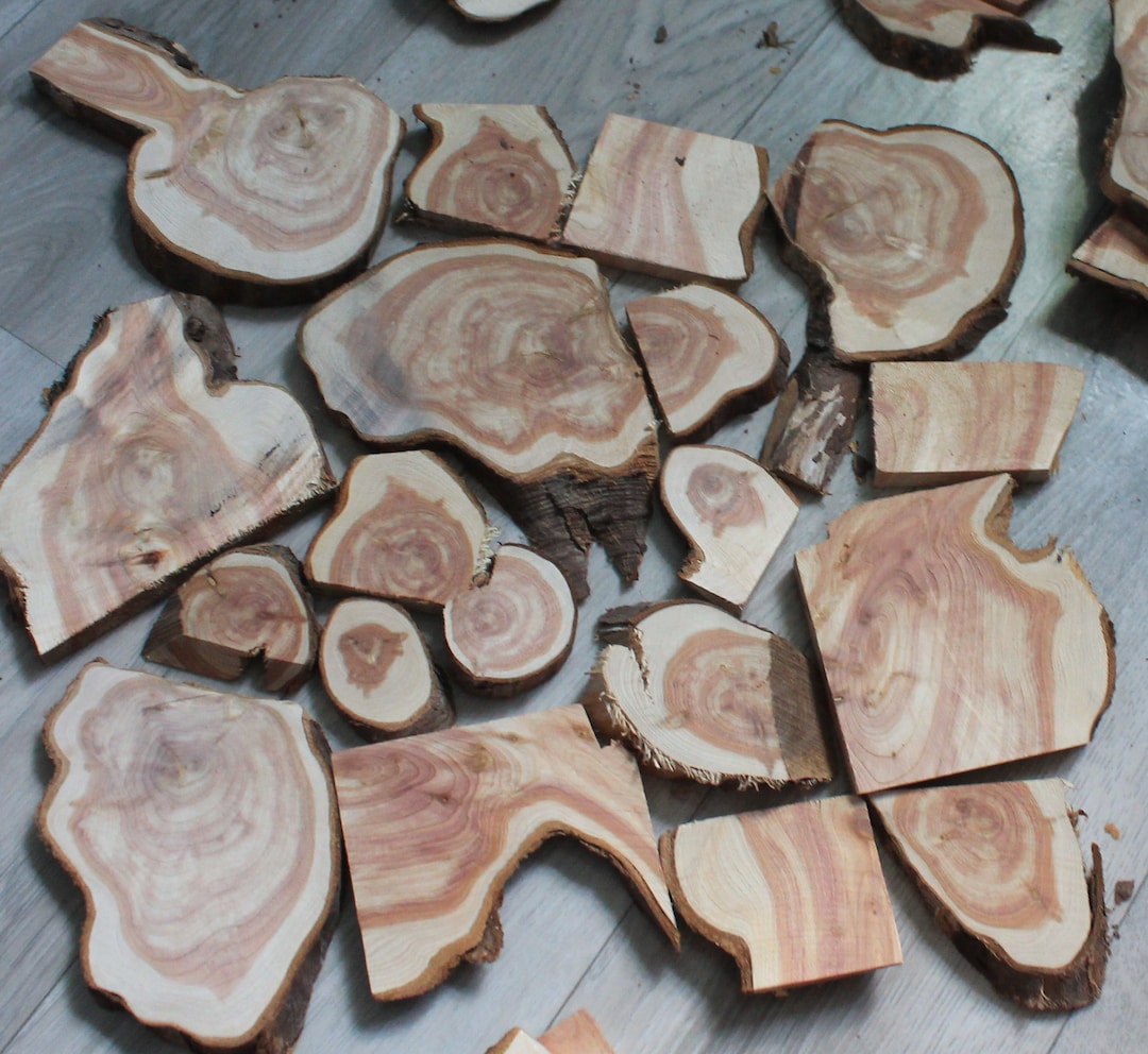 Juniper Wood Slices: Rustic Craft Supplies, DIY Kit (10 Pcs) - Etsy