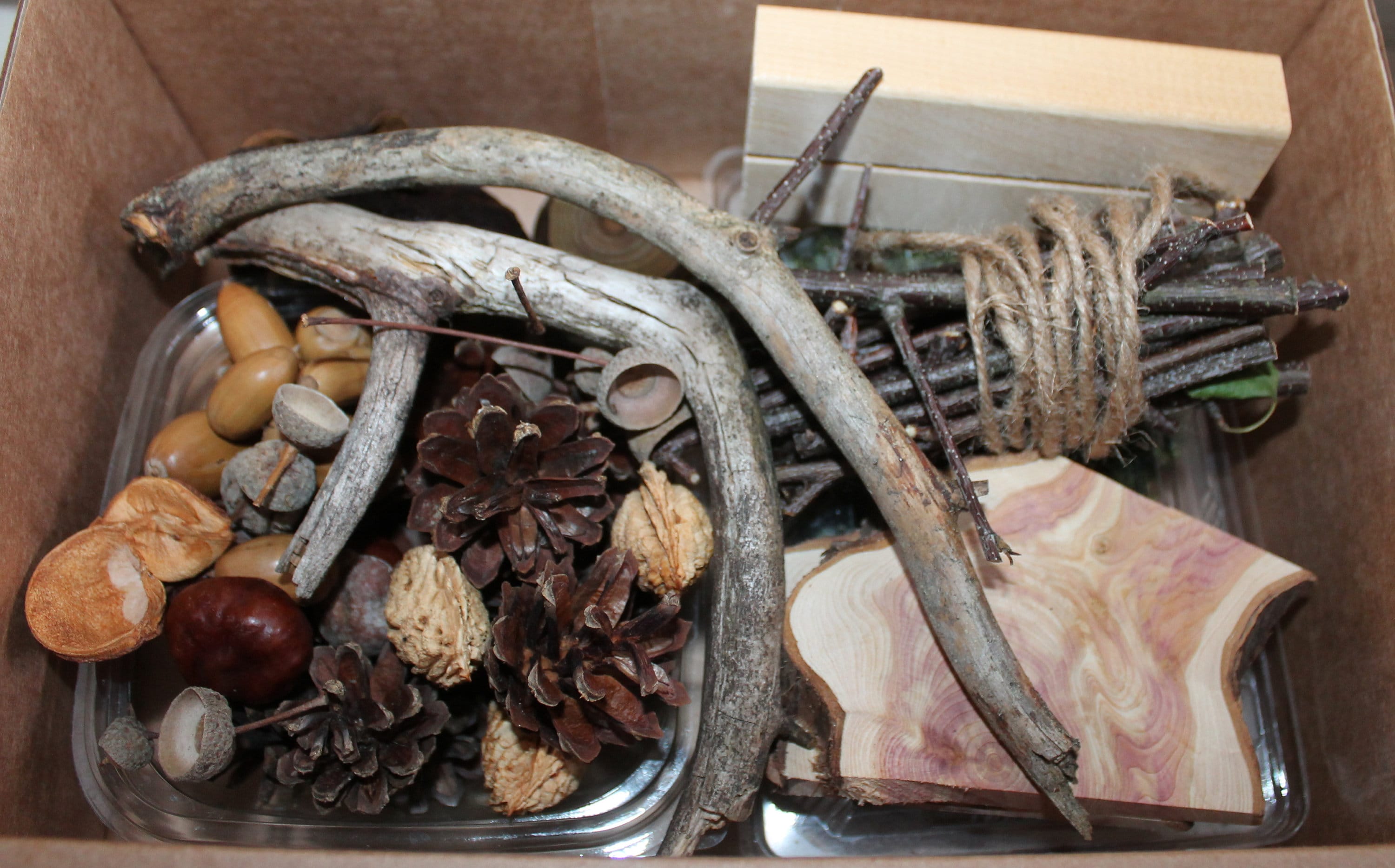 Fairy Garden Kit Natural Craft Supplies Woodland Craft Kit for Adults ...
