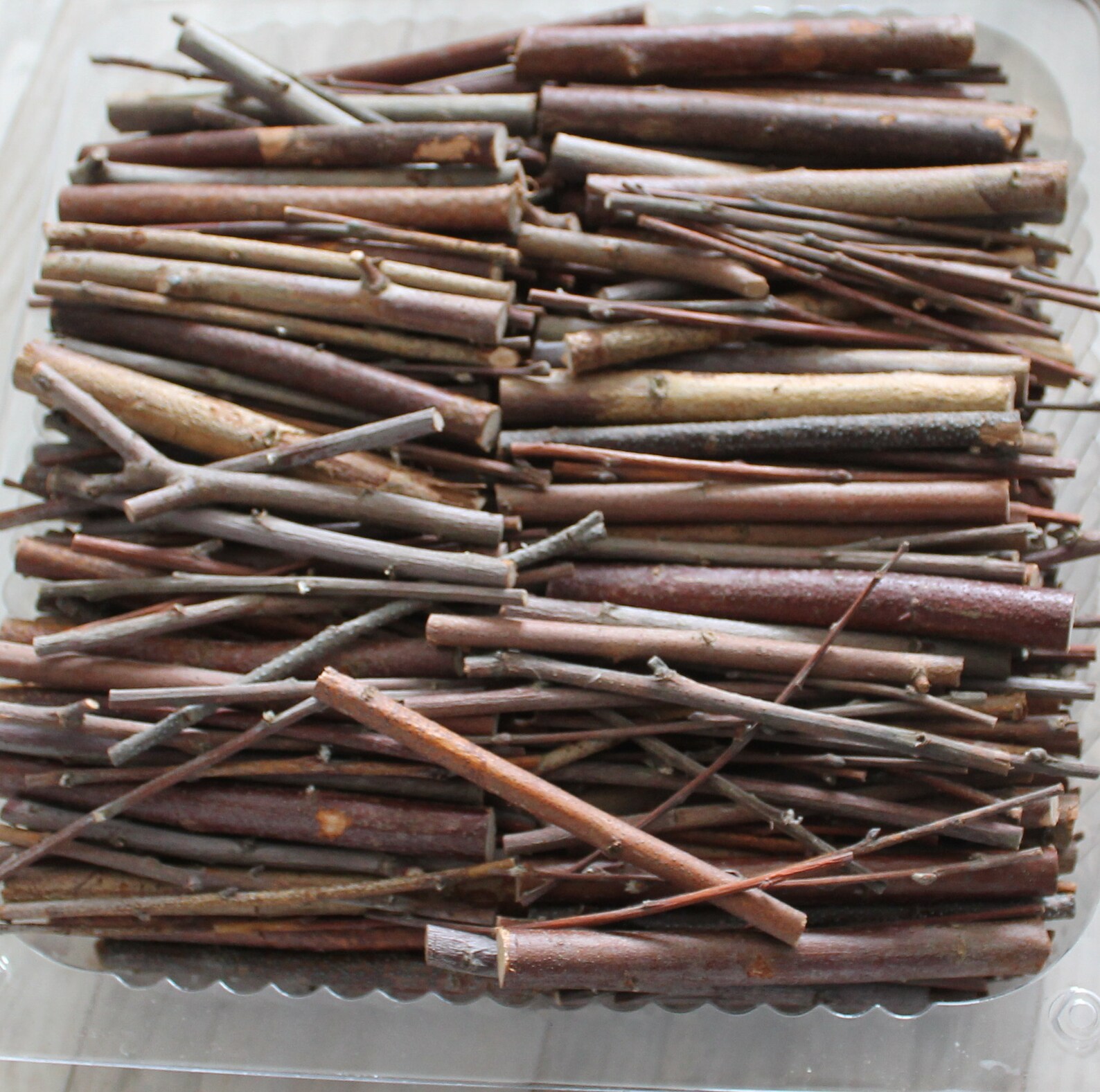 Natural Wood Stick Decorative Twigs Rustic Tree Branches 100ps - Etsy