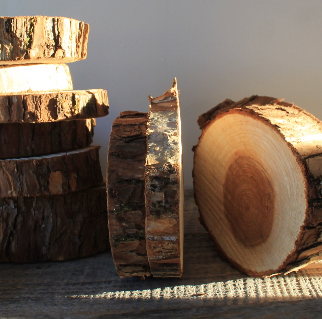 Wood Stump Live Edge Slab Wood Slice Raw Wood Slab Rustic Home Decor Do ...