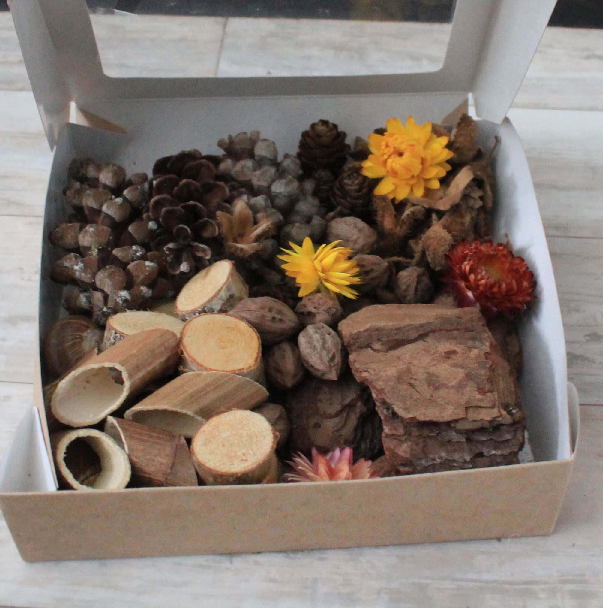Natural Craft Supplies: Woodland Forest Finds Kit - Etsy
