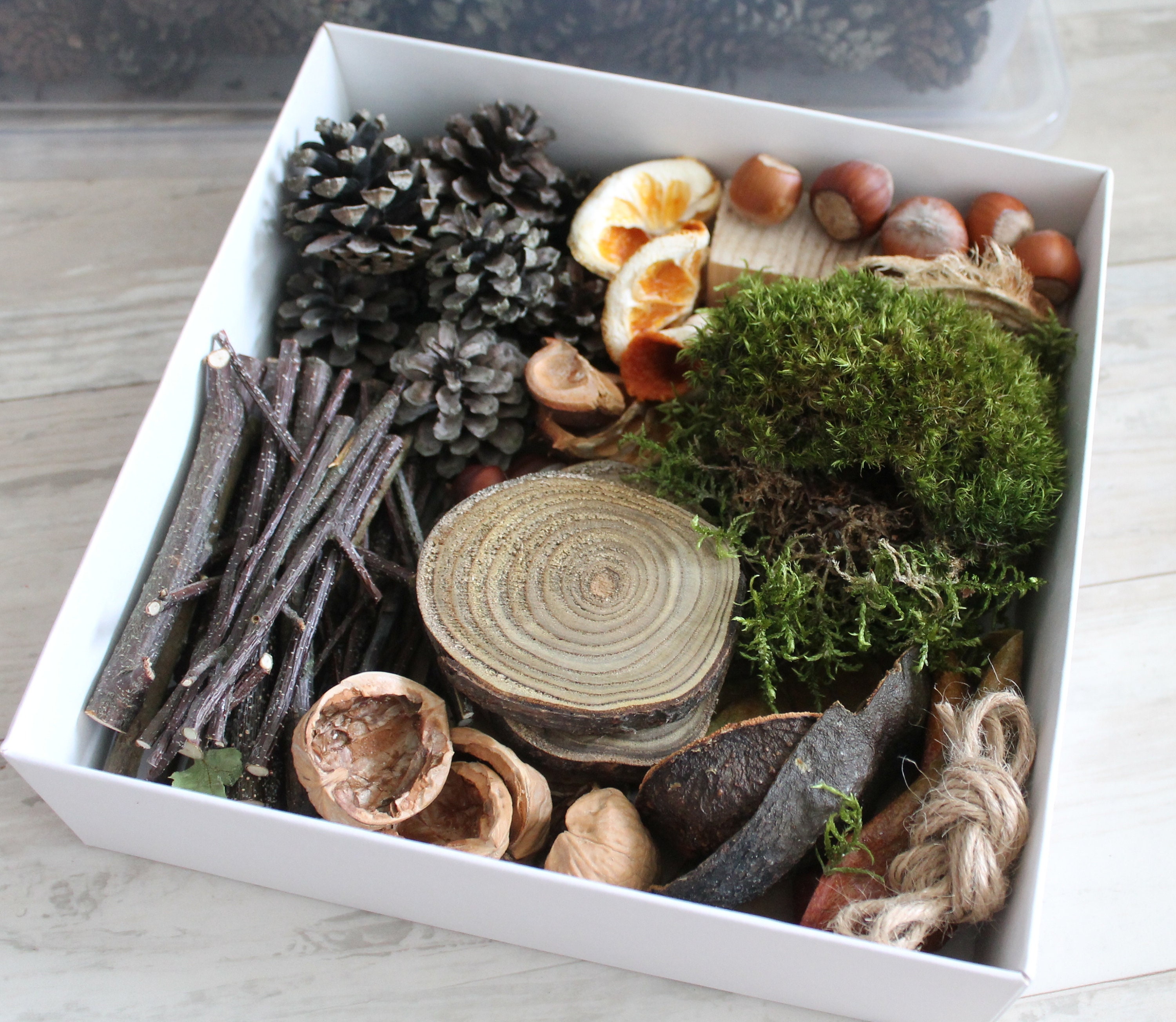 Natural Craft Supplies: Woodland Forest Finds Kit - Etsy